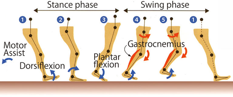 Development of Walking Support Robot“RE-Gait®” | SPACE BIO LABORATORIES